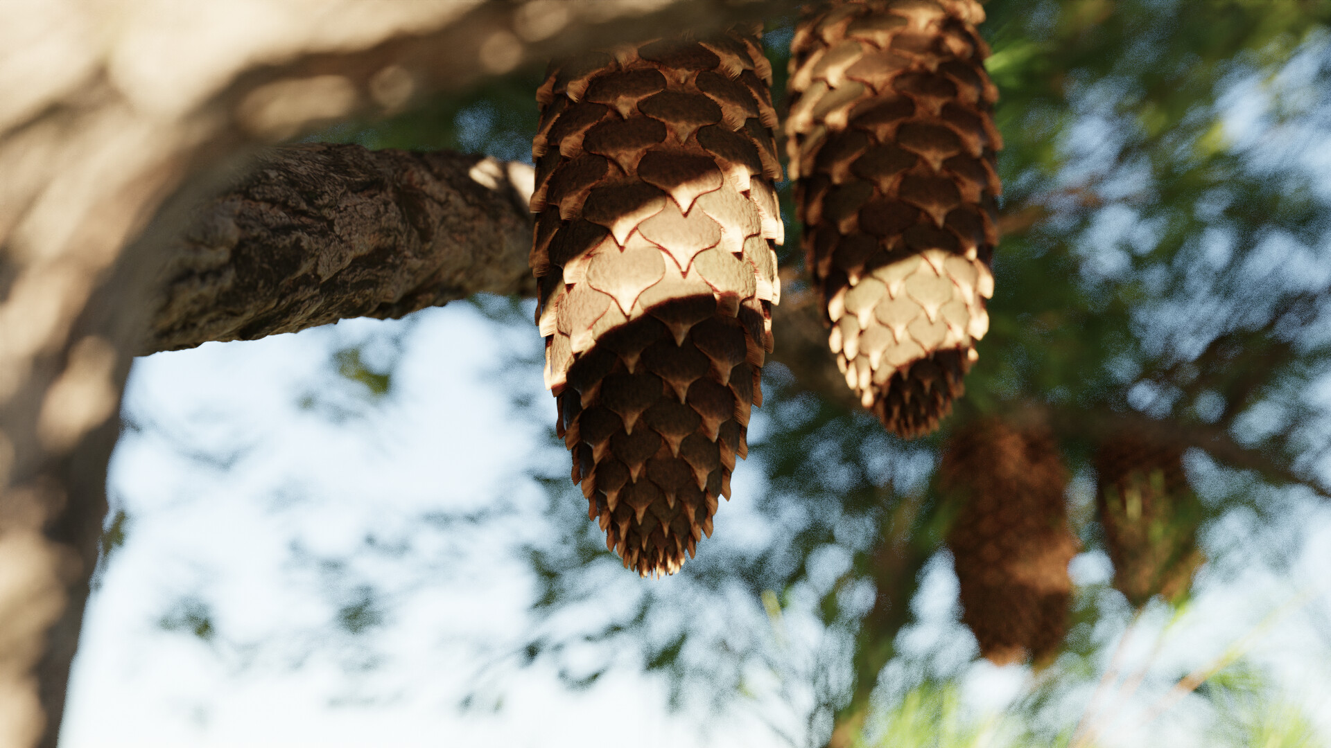 ArtStation - Pinecone