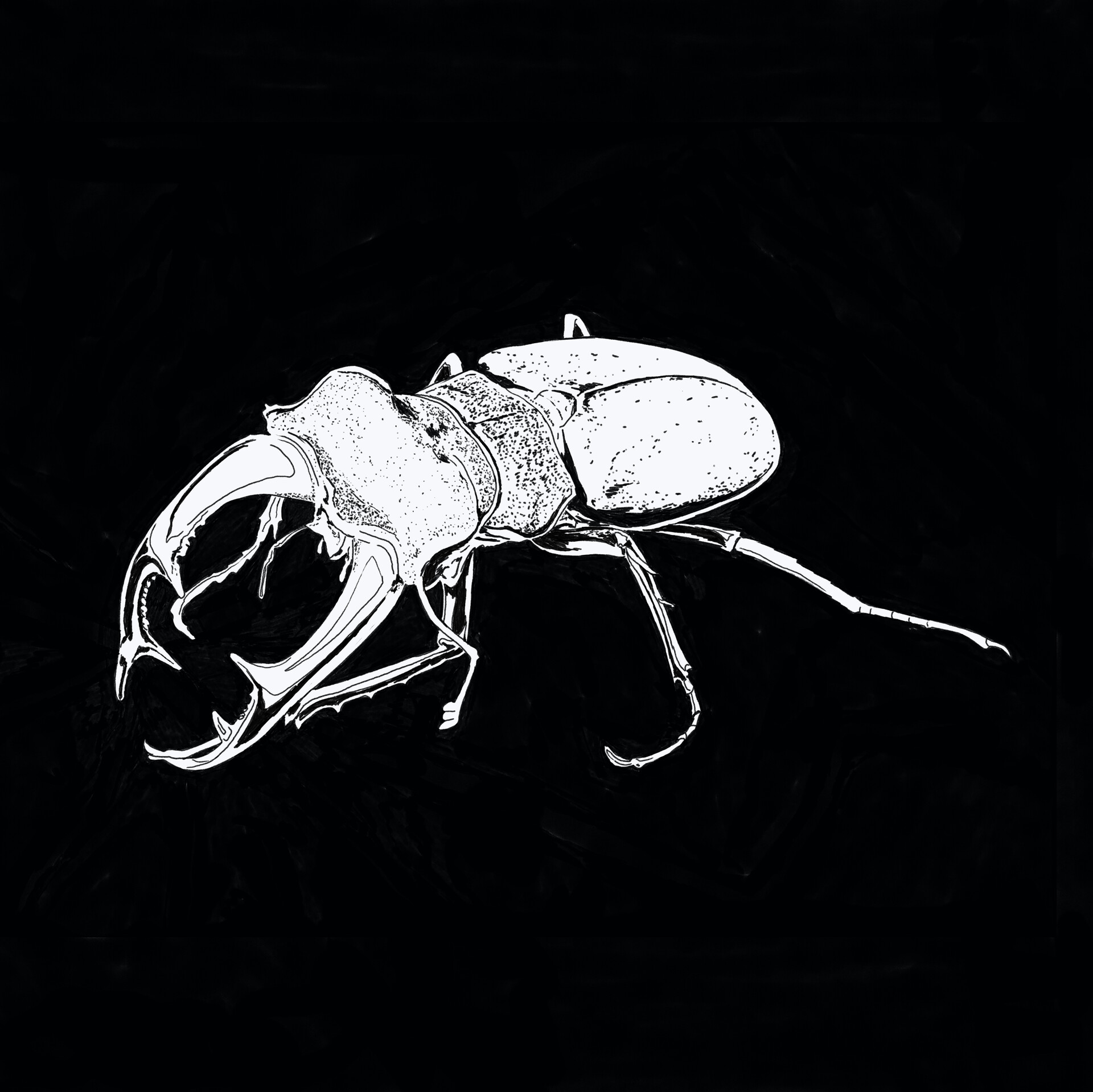 ArtStation - stag beetle