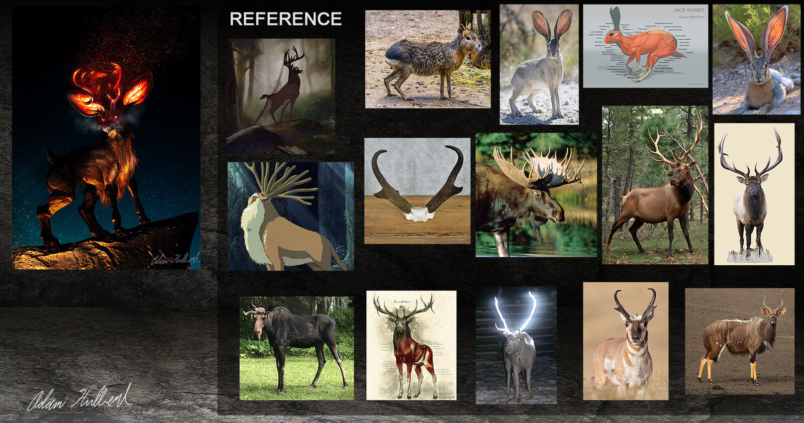 Adam Hulbert - Jackalope King anatomy and concept art