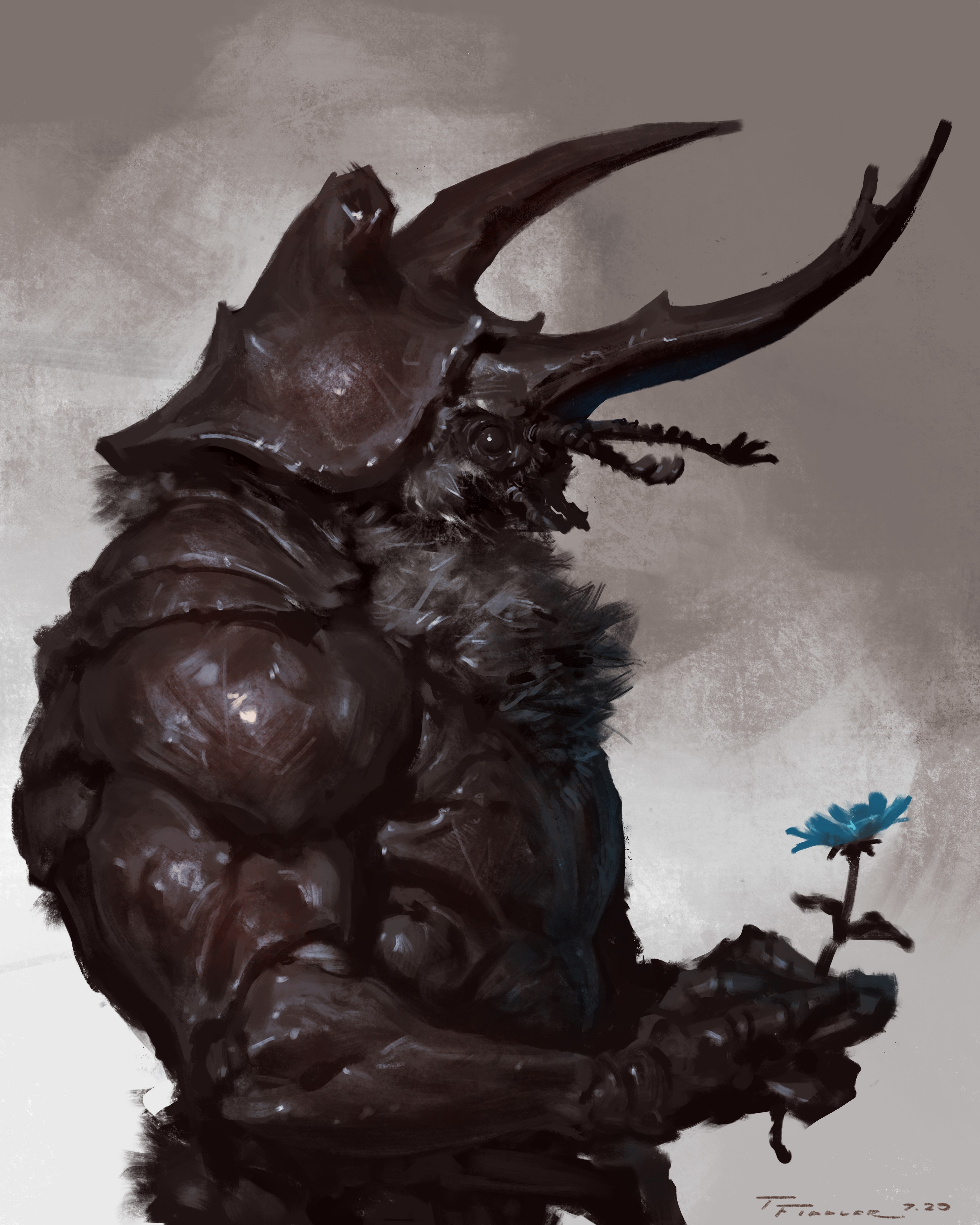 taran-fiddler-fca975ba-b314-4d27-9399-6e26223ce56f.jpg?1601161962 (1.65 ...