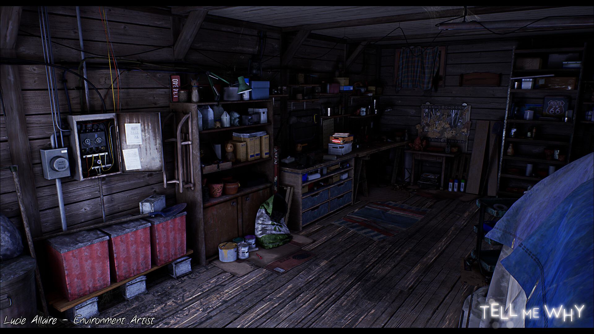 Lucie "Kaz" Allaire - Tell Me Why - Mary Ann's Old Barn - Environment Art