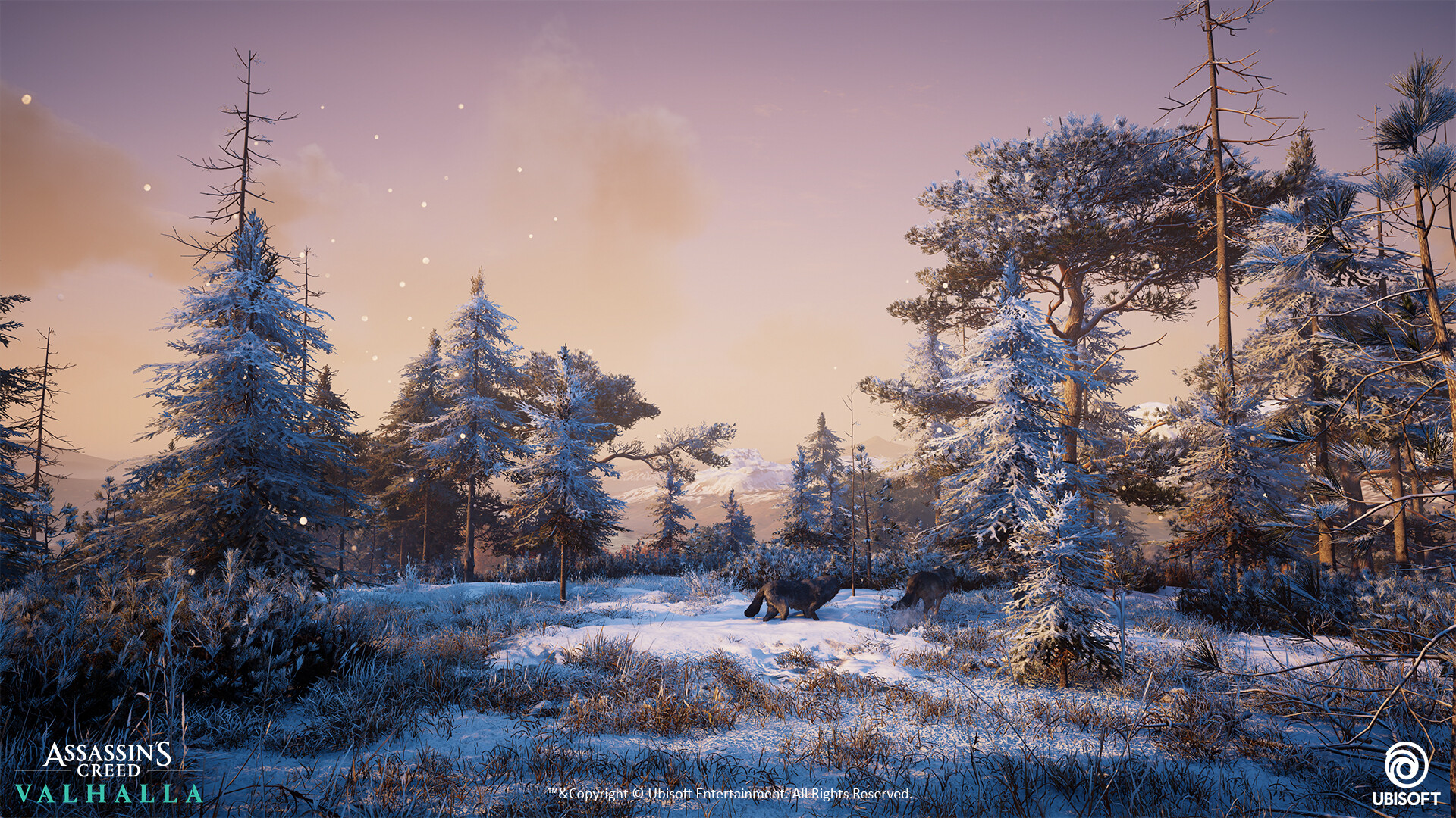 Joel Pelletant - Assassin's Creed : Valhalla (Natural World)