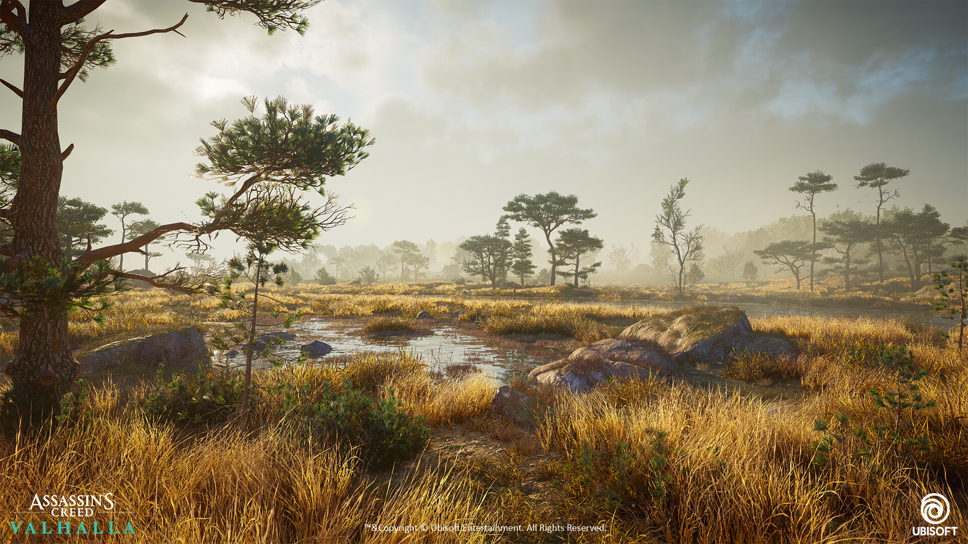 Joel Pelletant - Assassin's Creed : Valhalla (Natural World)