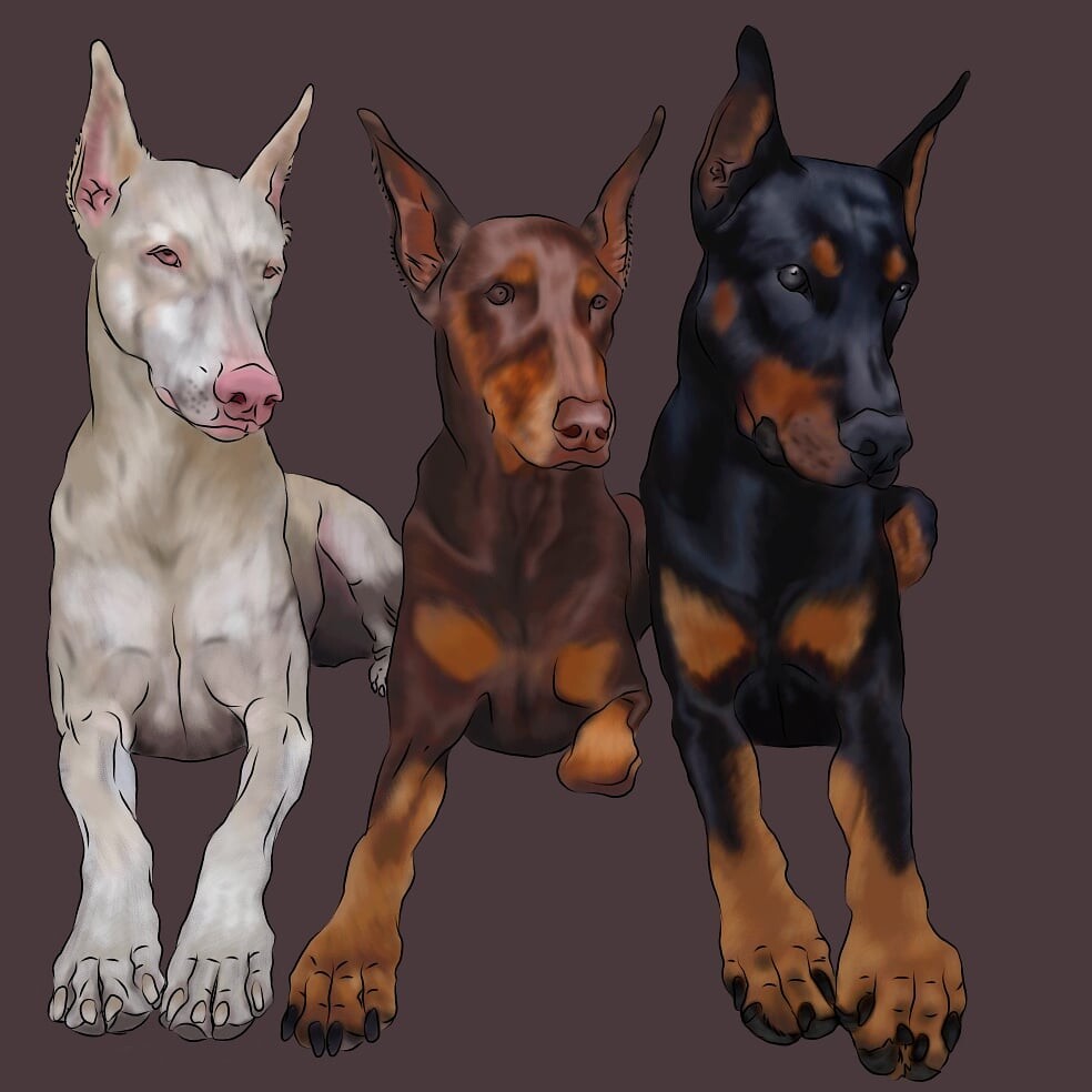 ArtStation - Doberman