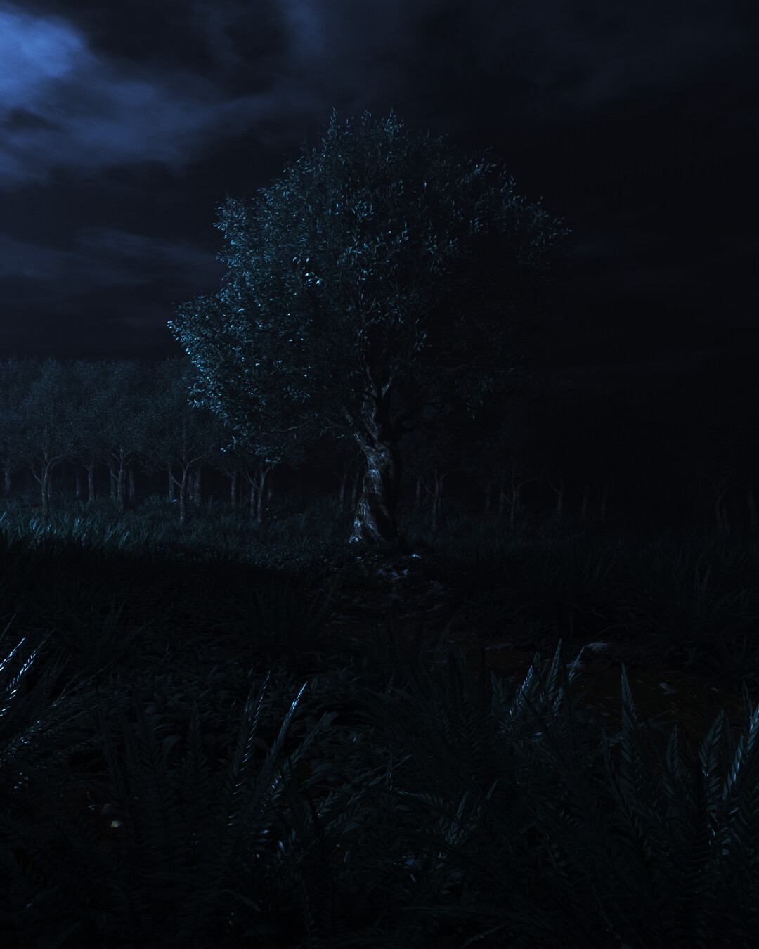 ArtStation - Night Forest