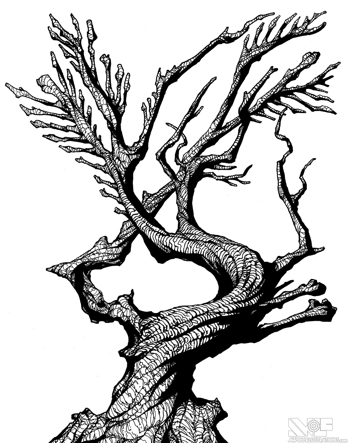 Dead Oak Tree Drawing