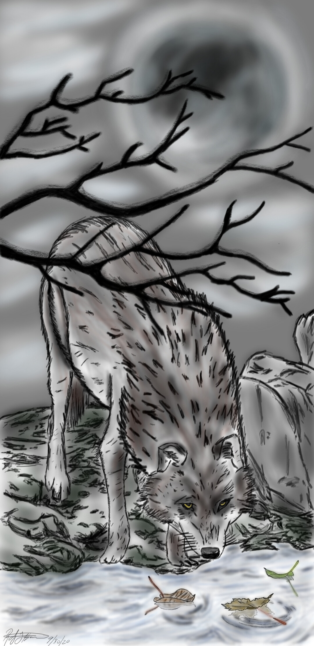 ArtStation - Lone Wolf