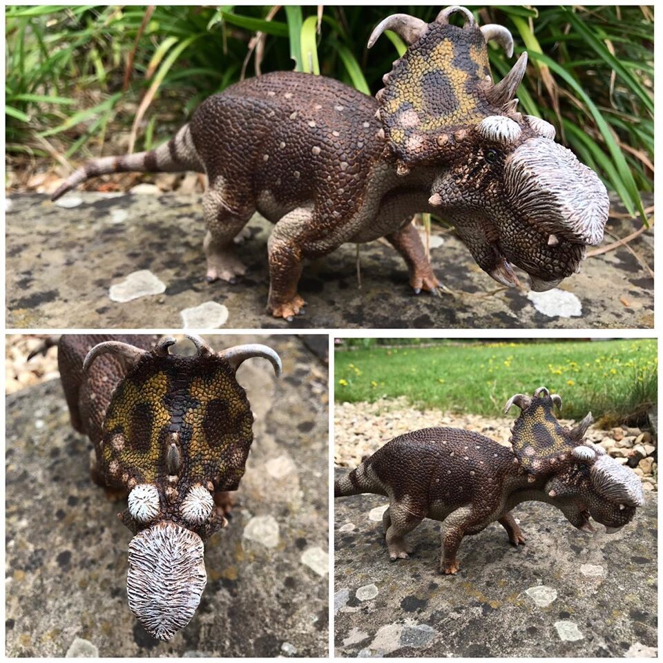 ArtStation - Pachyrhinosaurus lakustai 1:20 Scale Resin Model Kit