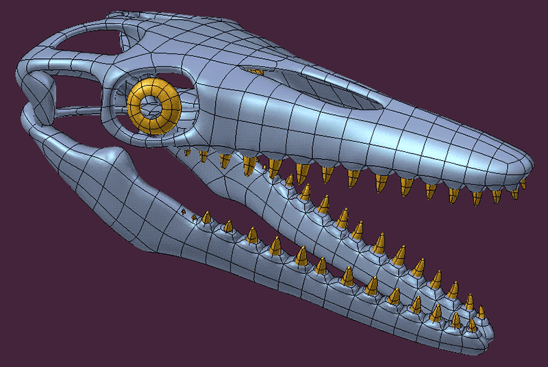 DinoReplicas - 3D Model Works - 3D Printed Mosasaur Skull