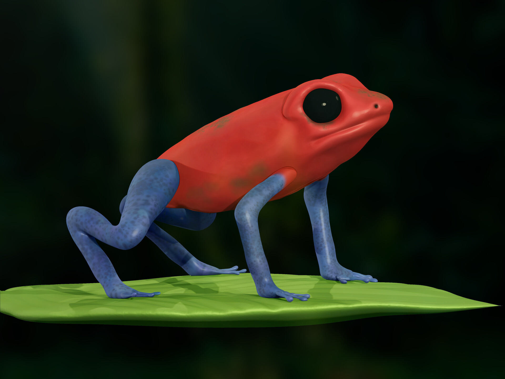 Poisonous Tree Frog Drawings
