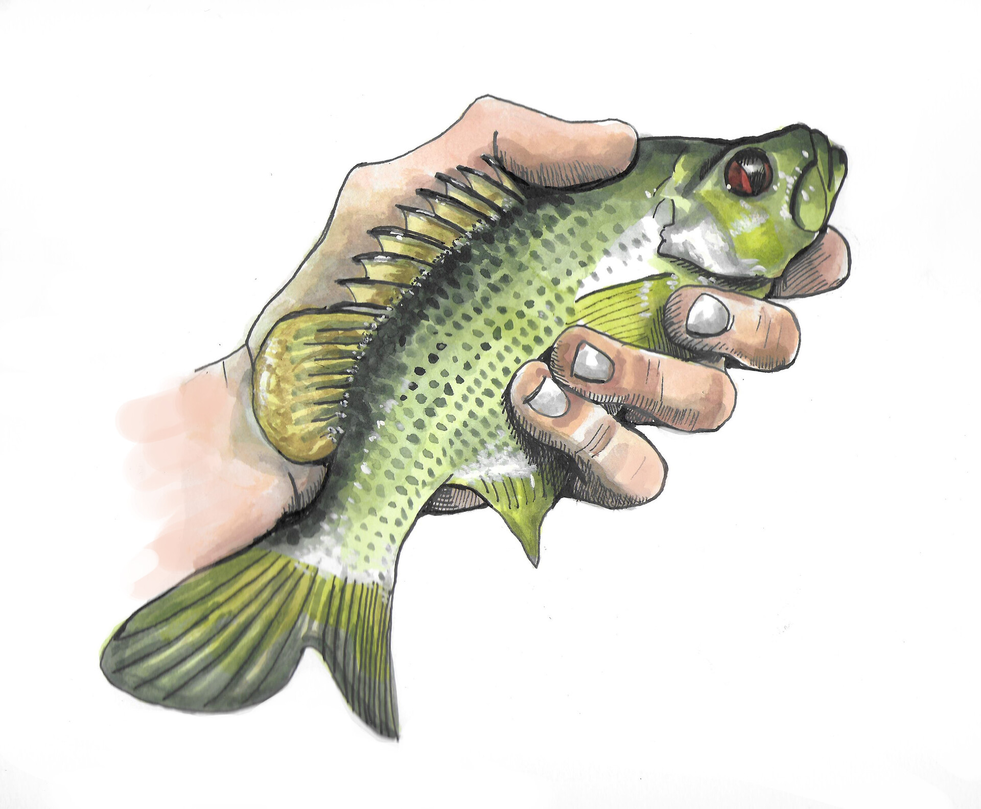 ArtStation - Inktober day 1 - fish