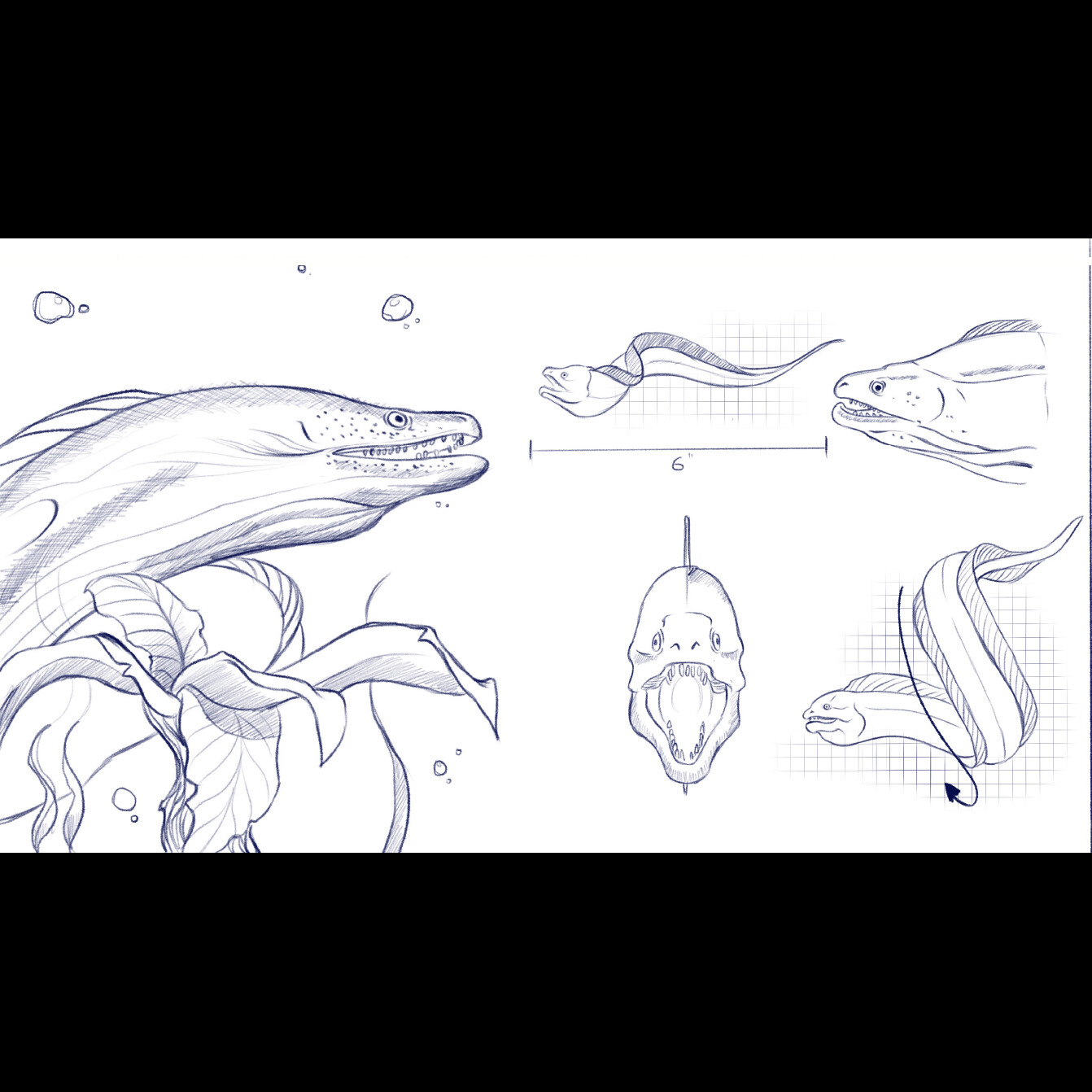 AADIL - OCEAN OF LIFE (cover art and anatomy sketches)