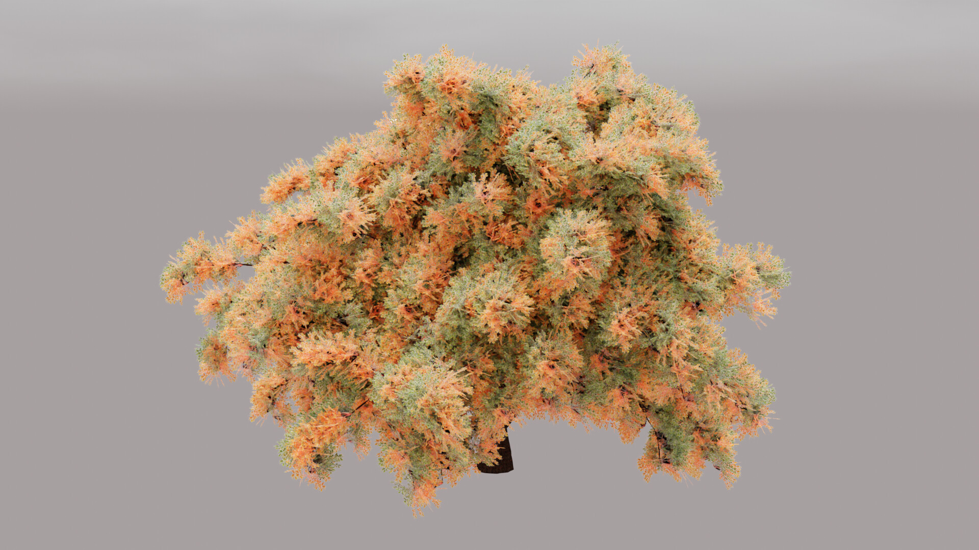 ArtStation - Almost procedural Oak trees in blender (different types)