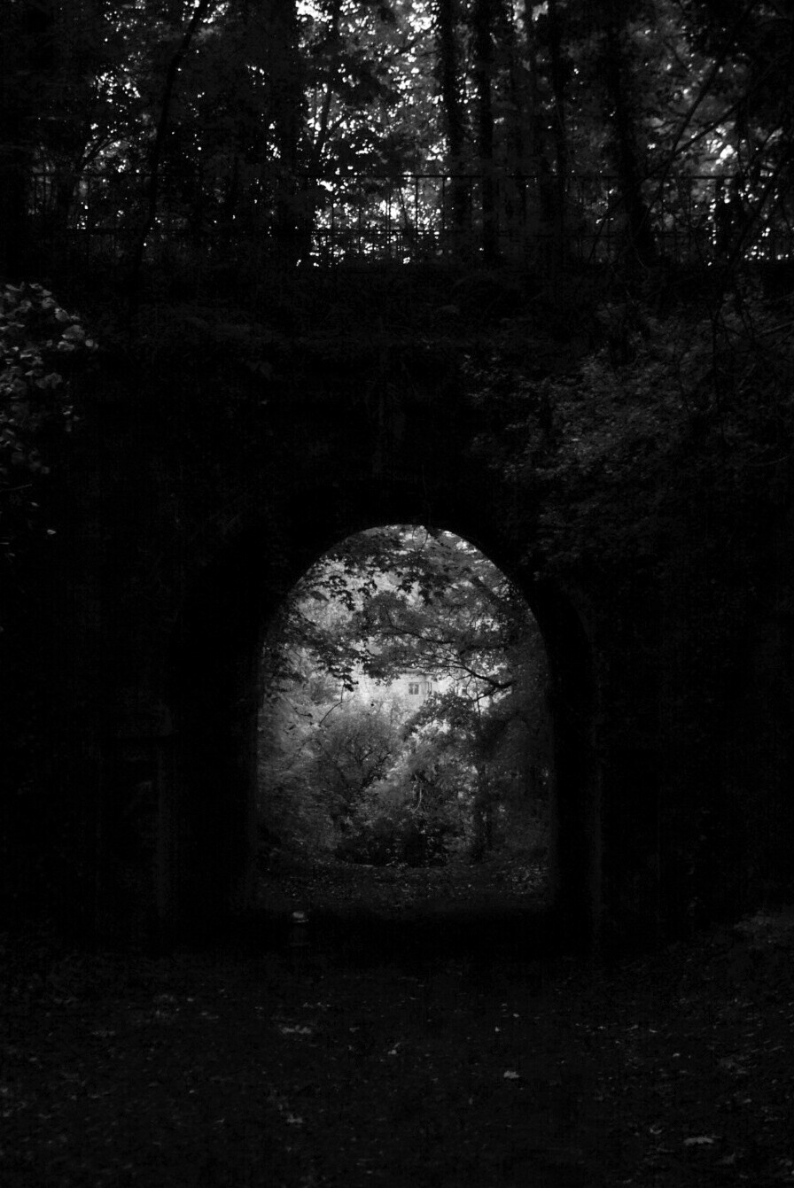 ArtStation - Rural photography