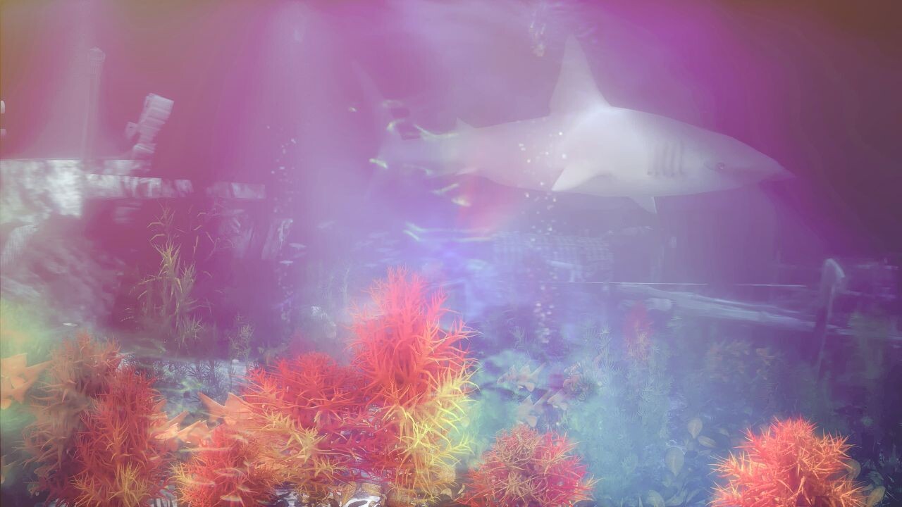 Julian-Patrick Burmeister - The Shark