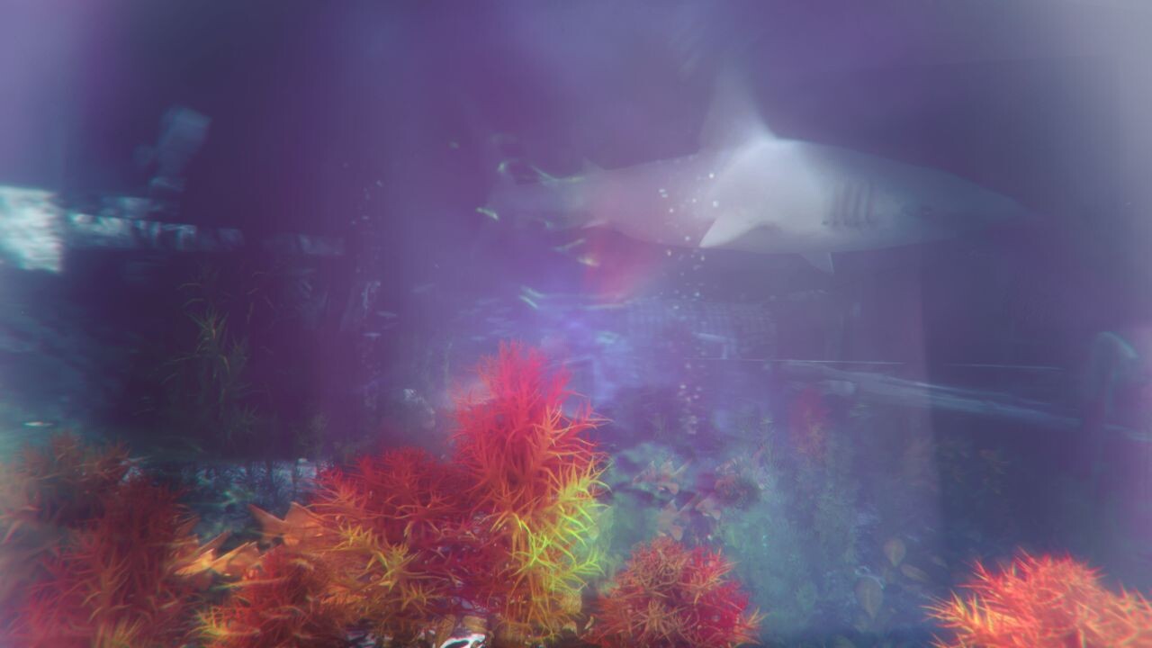 Julian-Patrick Burmeister - The Shark