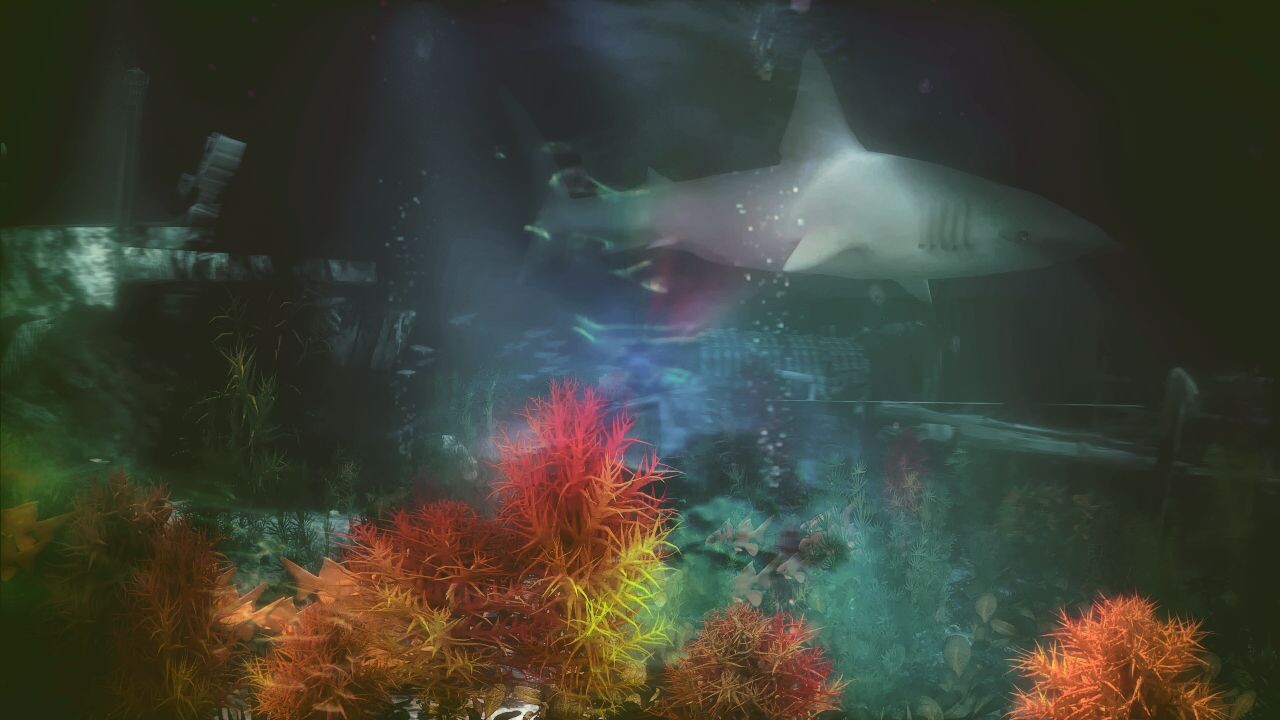 Julian-Patrick Burmeister - The Shark