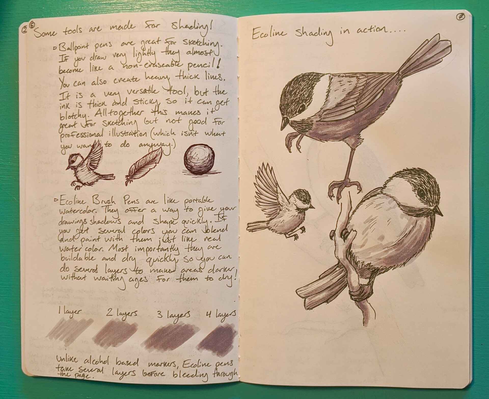 AJ Blake - Bird Sketching How-To Book