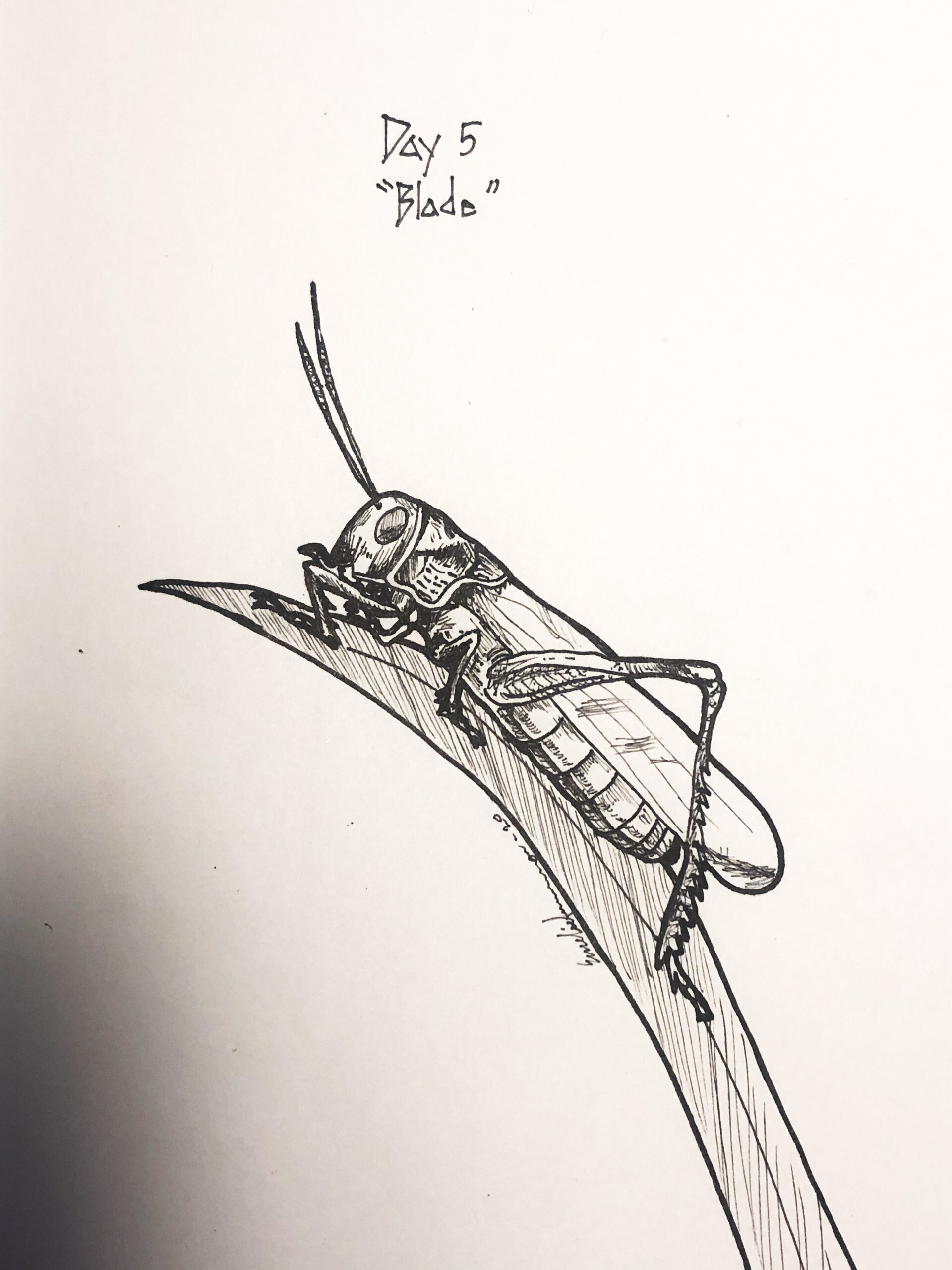 ArtStation - Inktober Day 5 - Blade