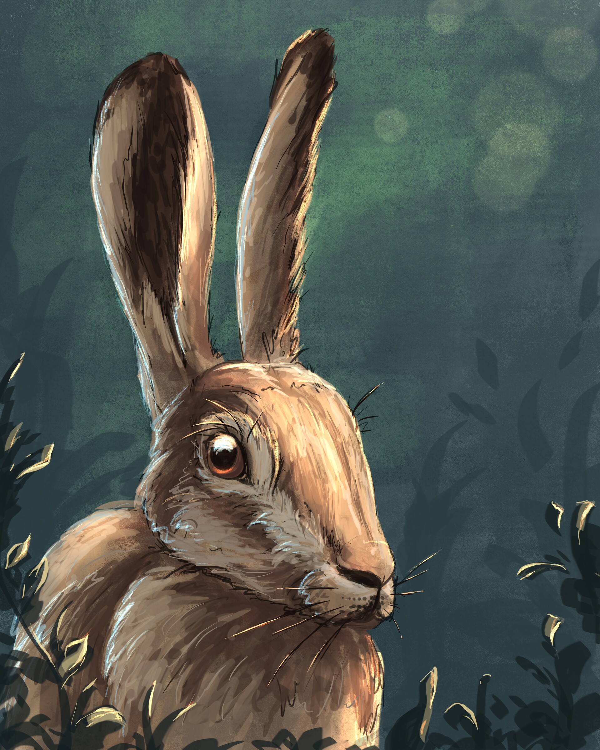 ArtStation - Hare