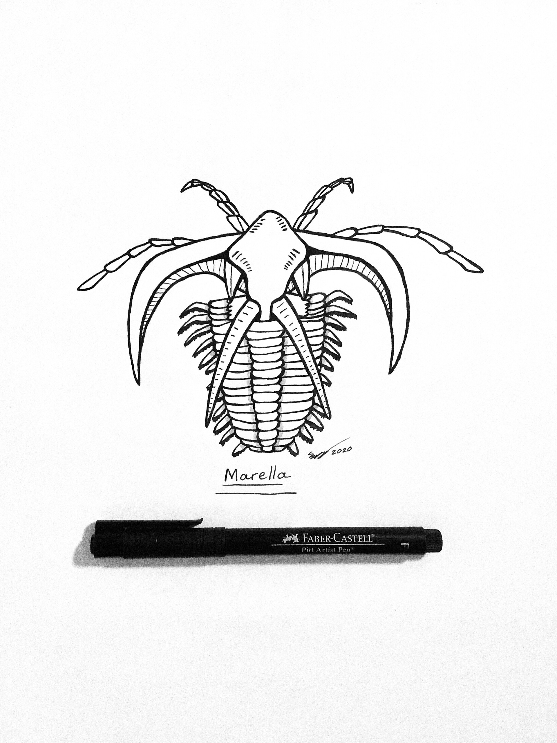 Sean Kiley - Inktober2020 - First 6 Days