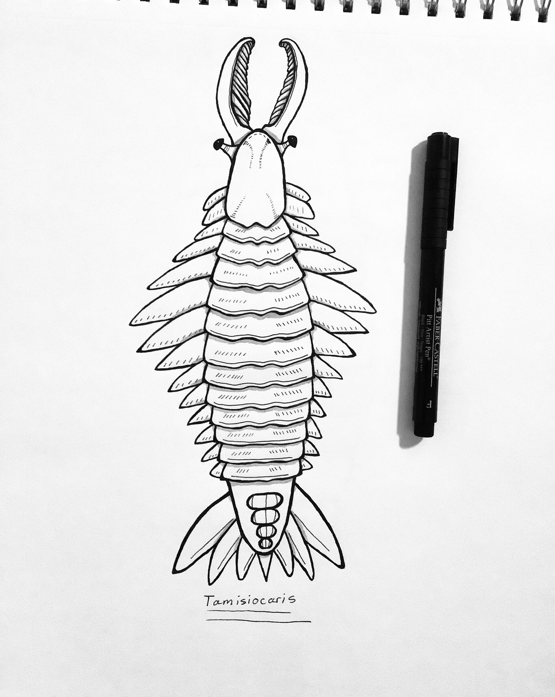 Sean Kiley - Inktober2020 - First 6 Days