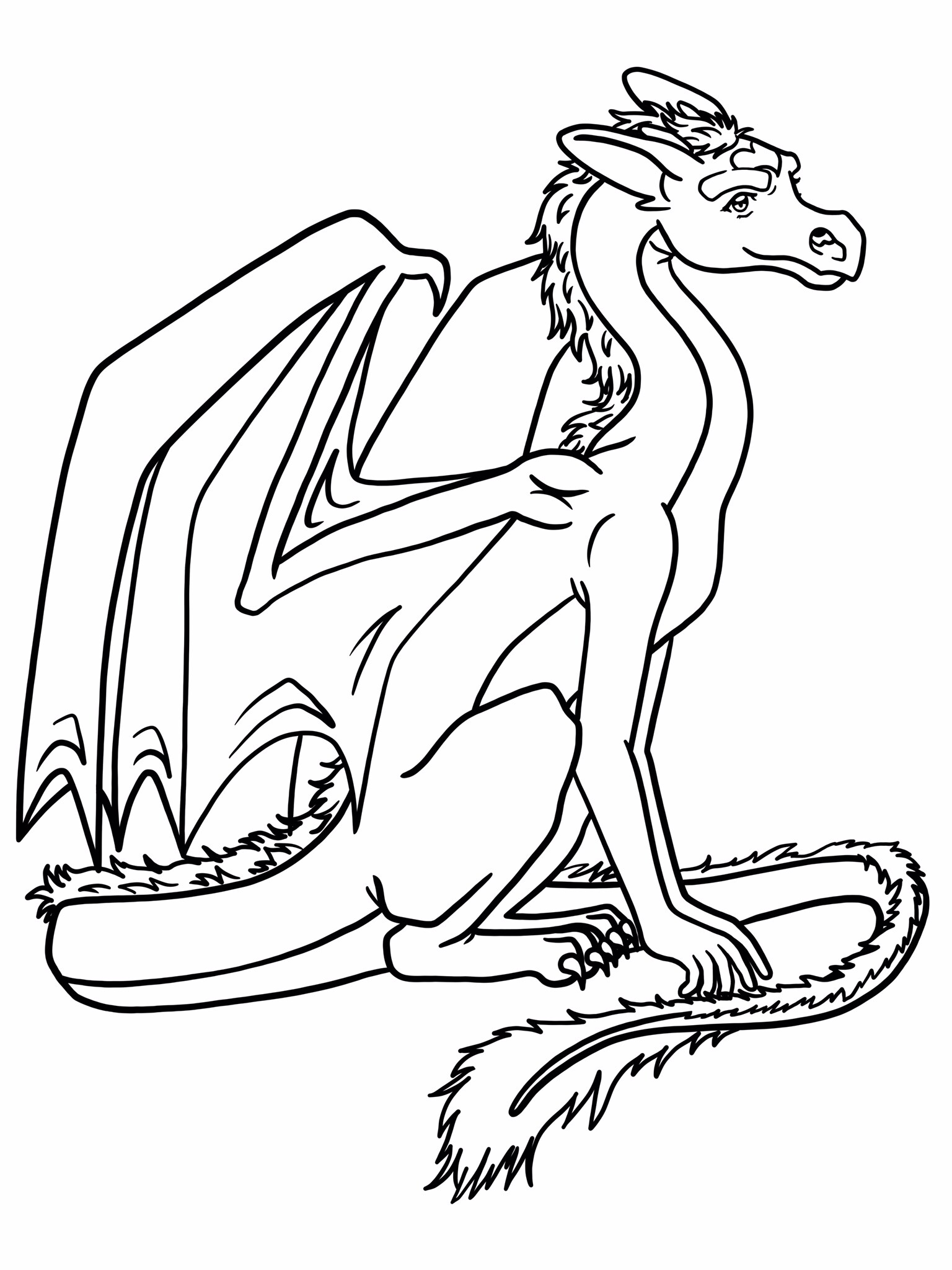 katie sue coloring pages