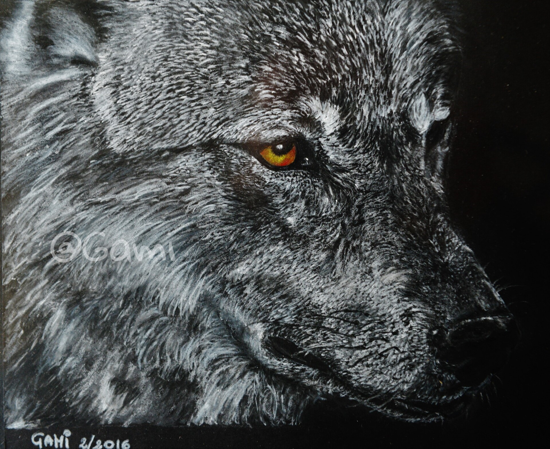 ArtStation - Wolf drawing