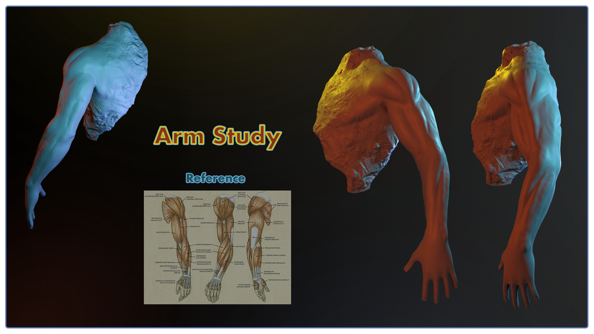 ArtStation - Arm Study Render