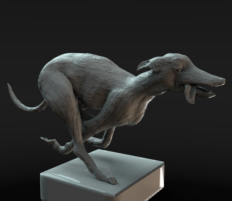 ArtStation - Running Dog