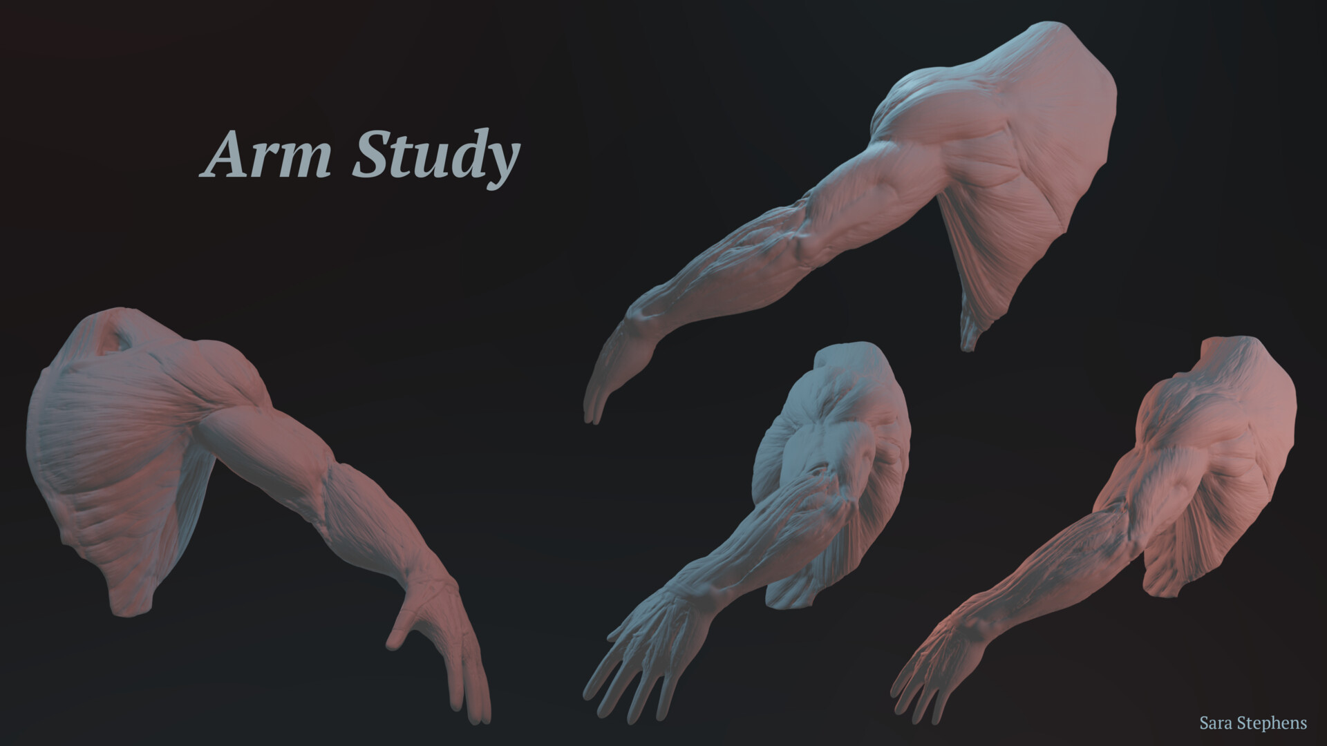 Sara Stephens - Arm Study Render
