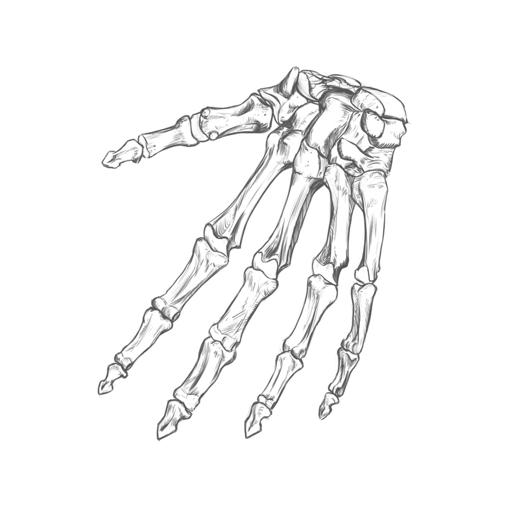 Hand Bones Coloring Page