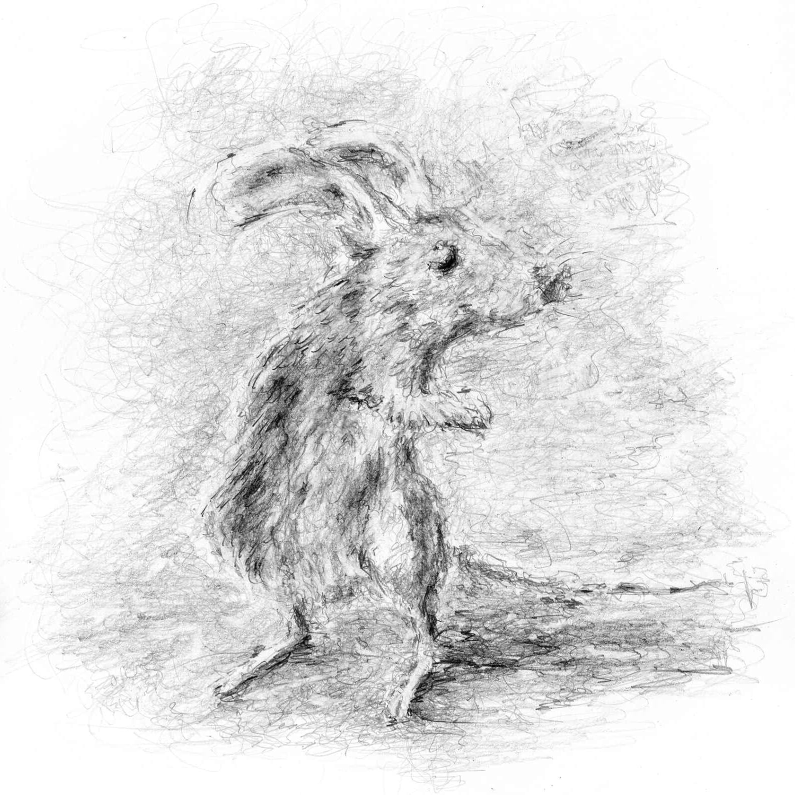 ArtStation - Cute fluffy