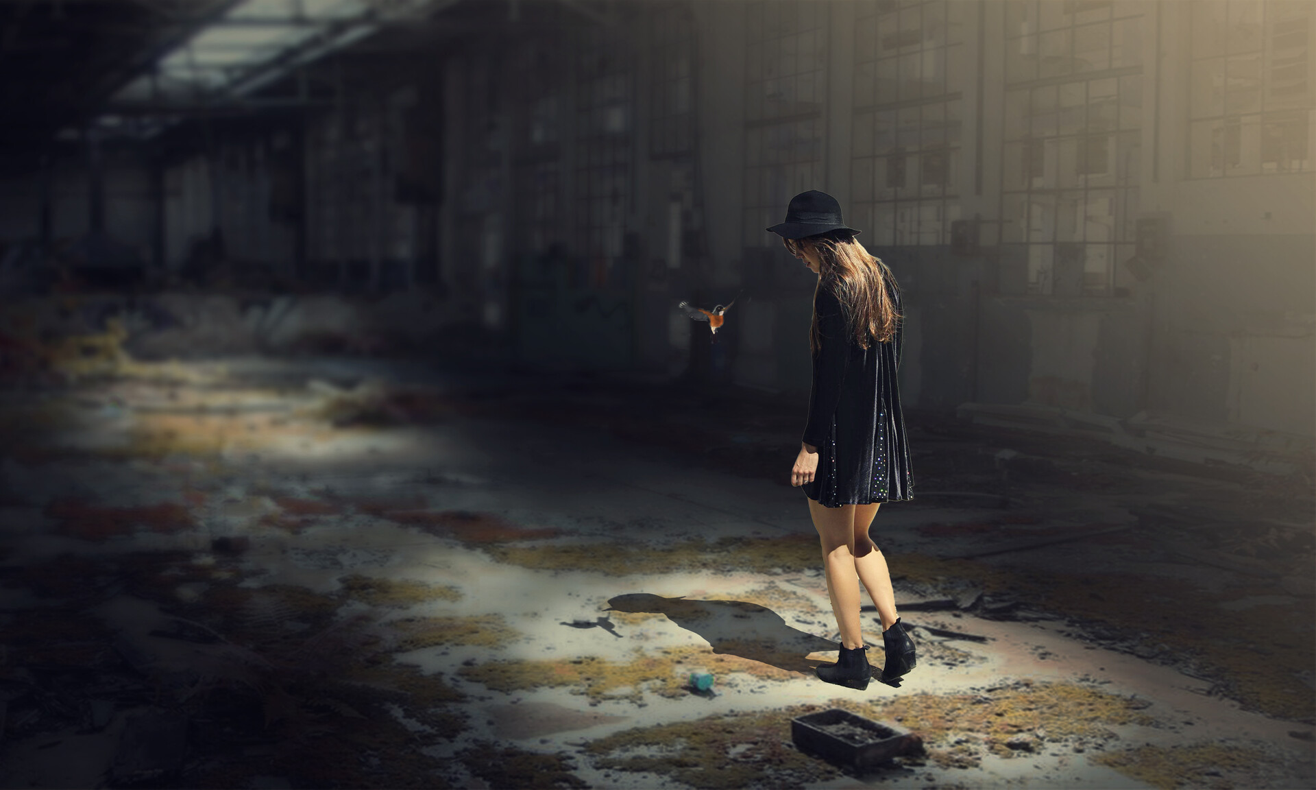 ArtStation - Lost Bird - Photoshop Manipulation