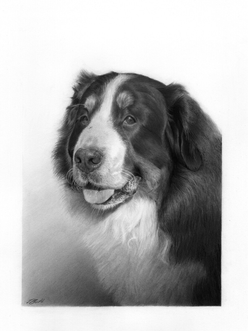 ArtStation - Joshua Smith