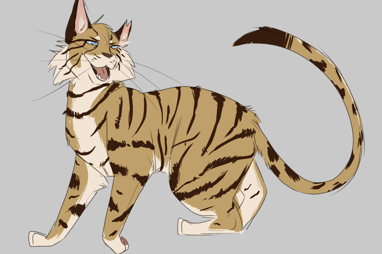 Jackie Roberts - Warrior Cats Design Interpretations