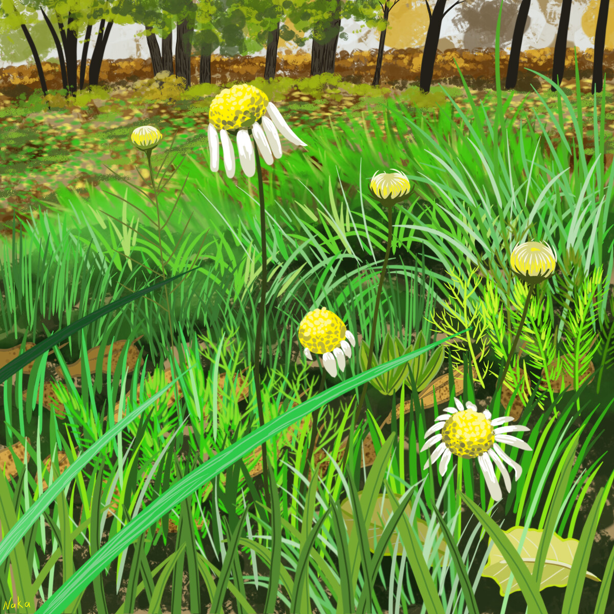 ArtStation - Chamomile