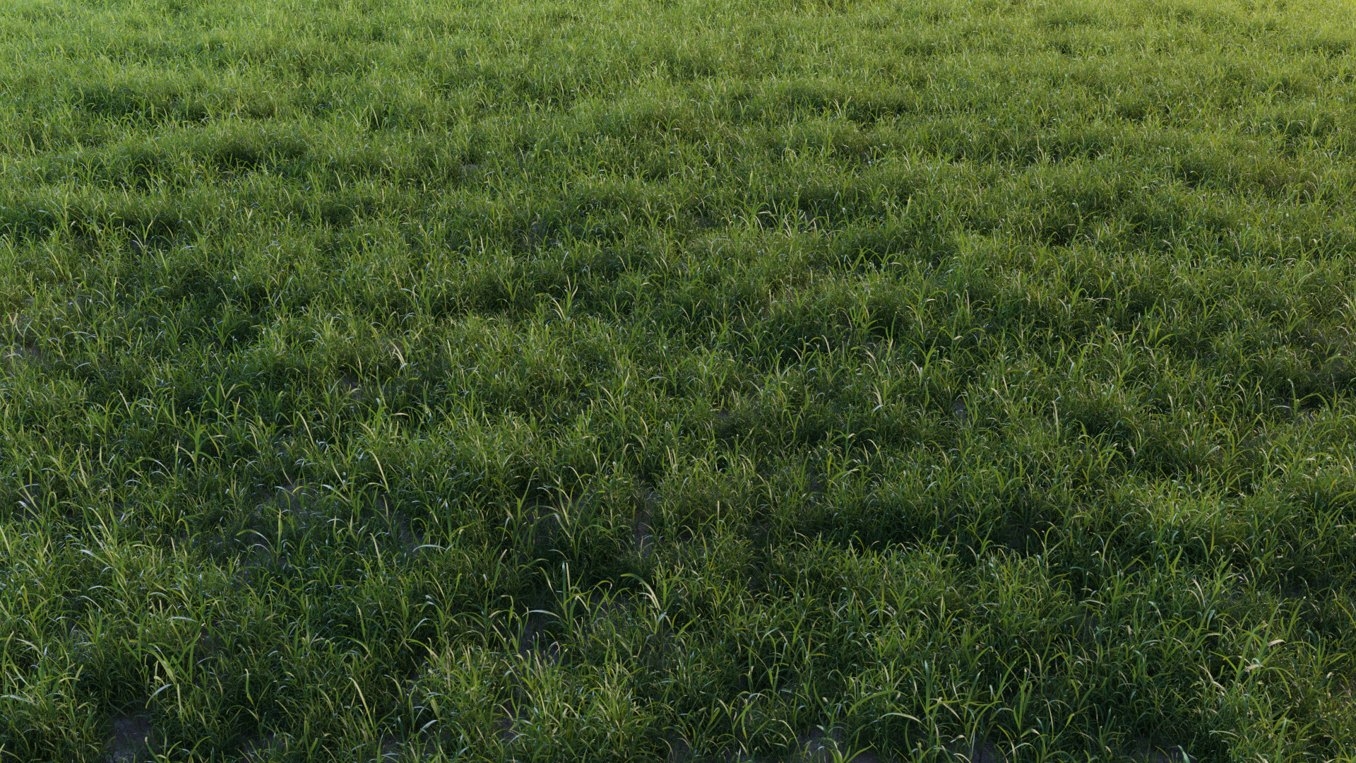 ArtStation - 3D Grass collection vol01