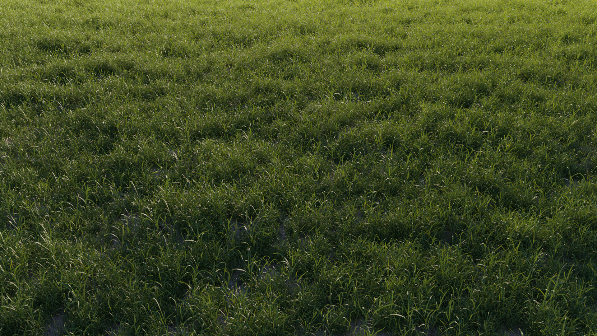 VFX models - 3D Grass collection vol01