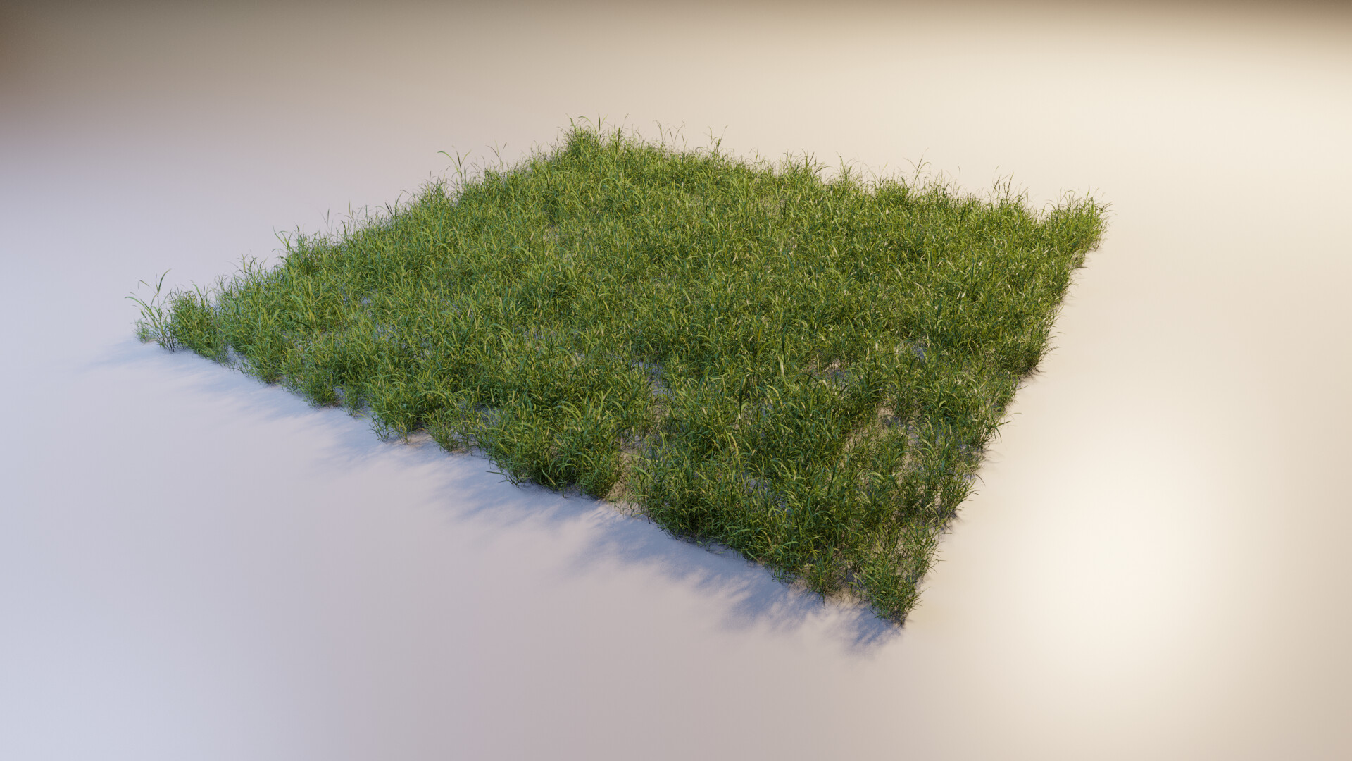 VFX models - 3D Grass collection vol01