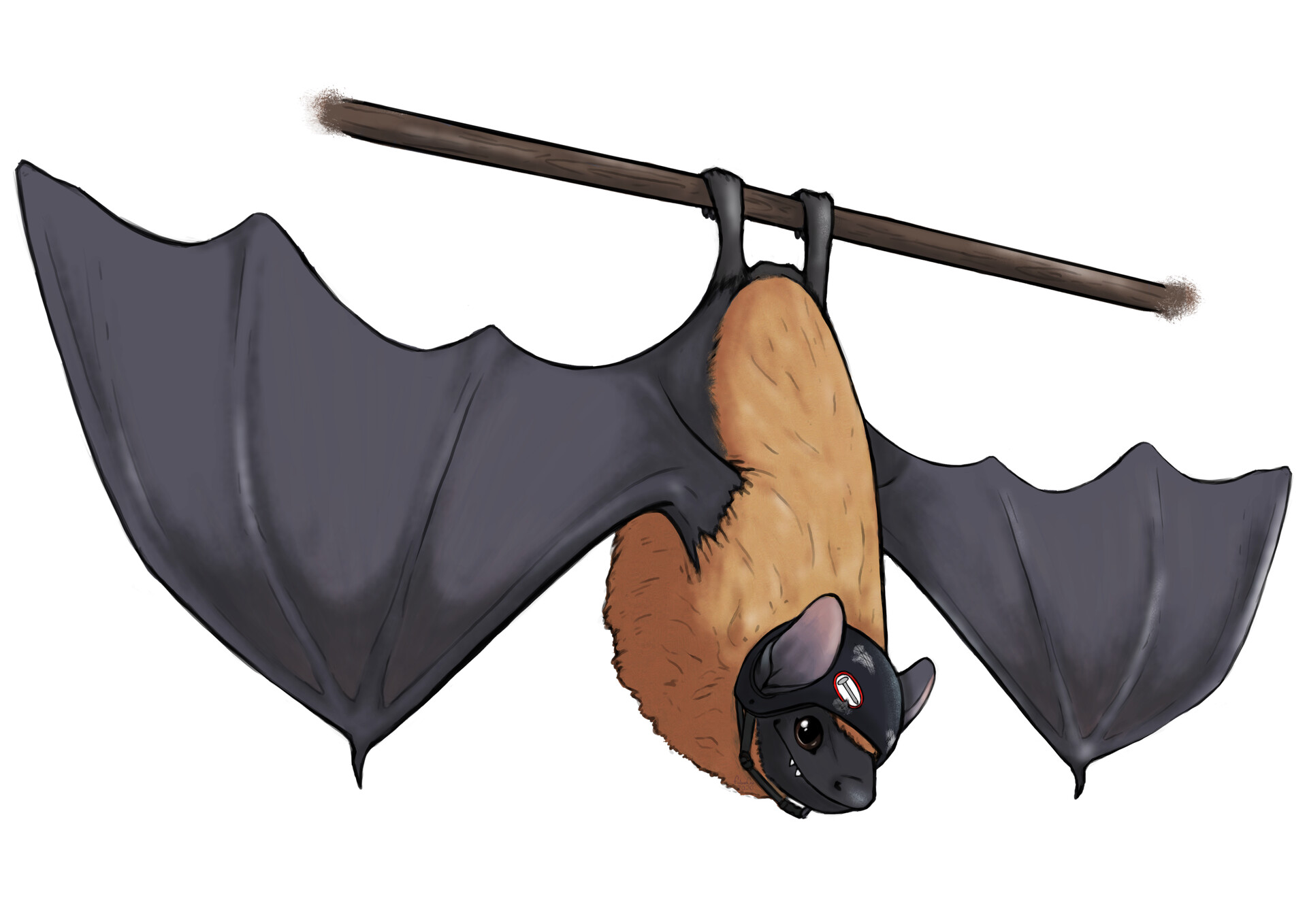 Chloe Joy - Big Brown Bat Commission