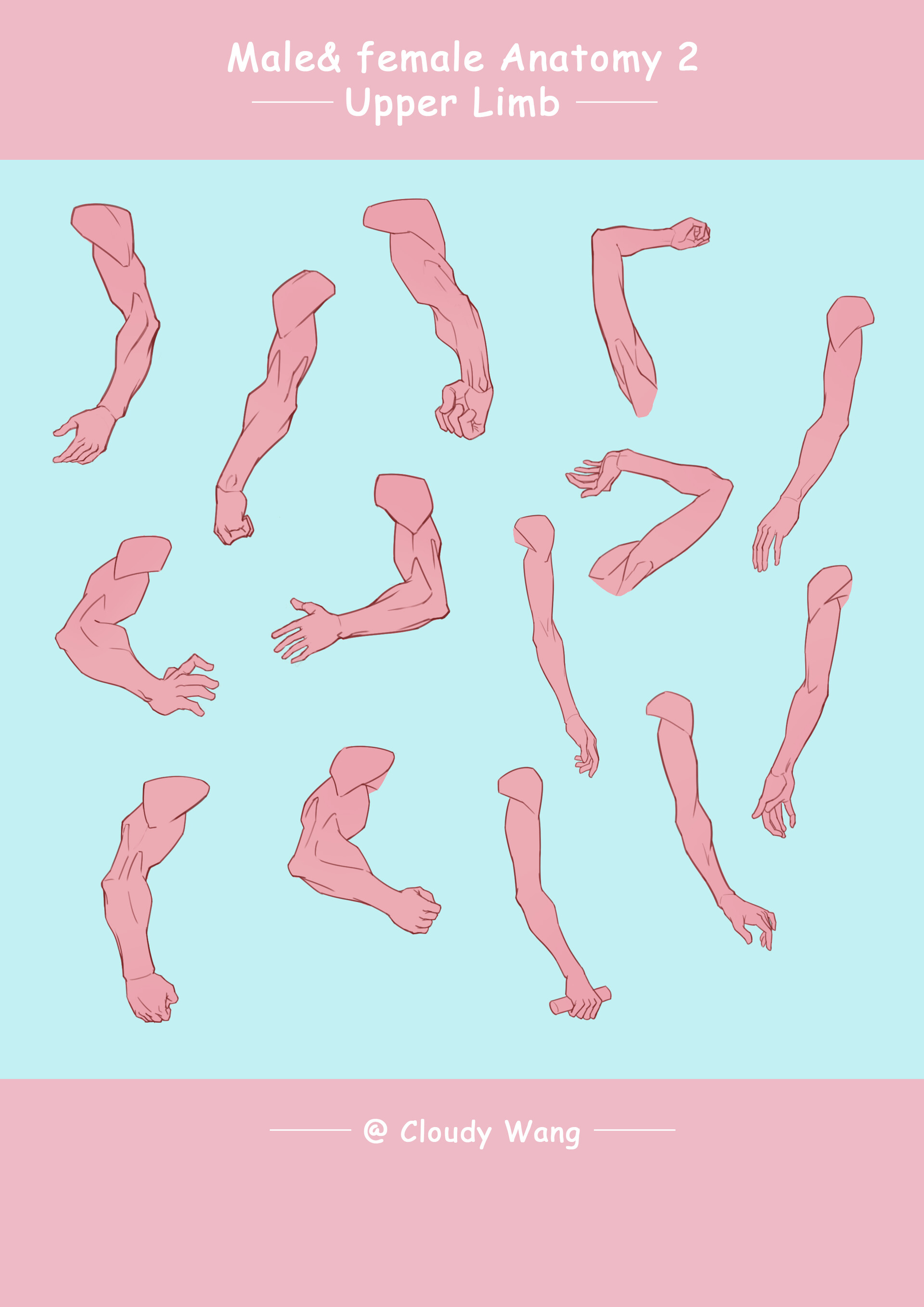 ArtStation - Male& female Anatomy 2 Upper Limb