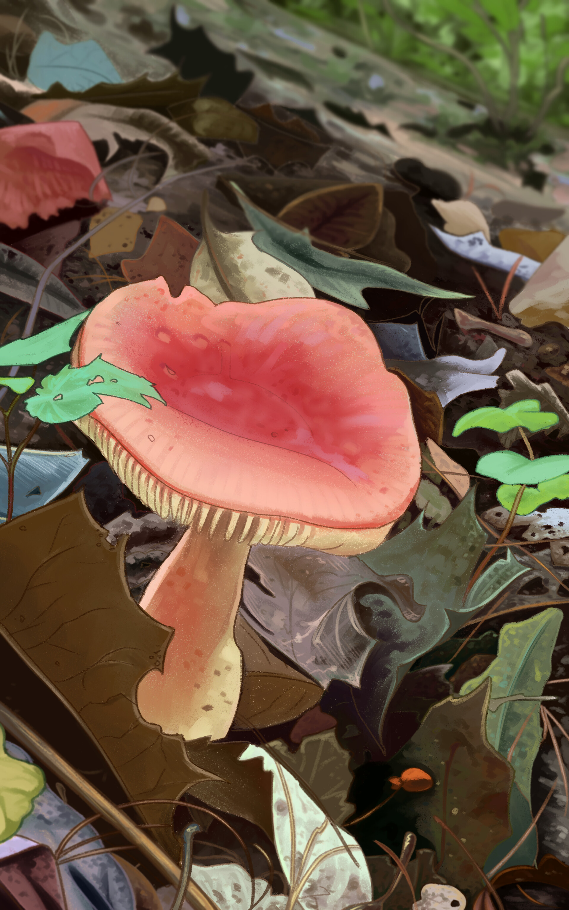ArtStation - Toadstool