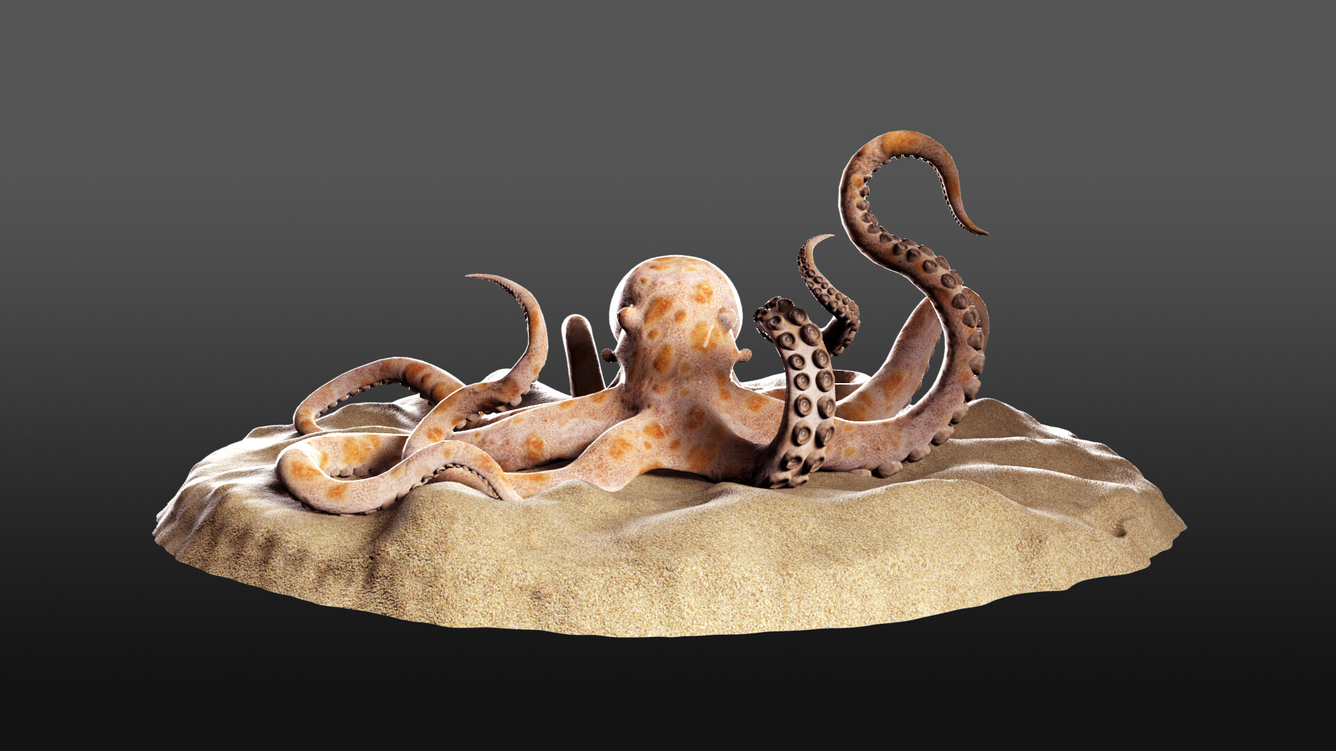 ArtStation - Octopus