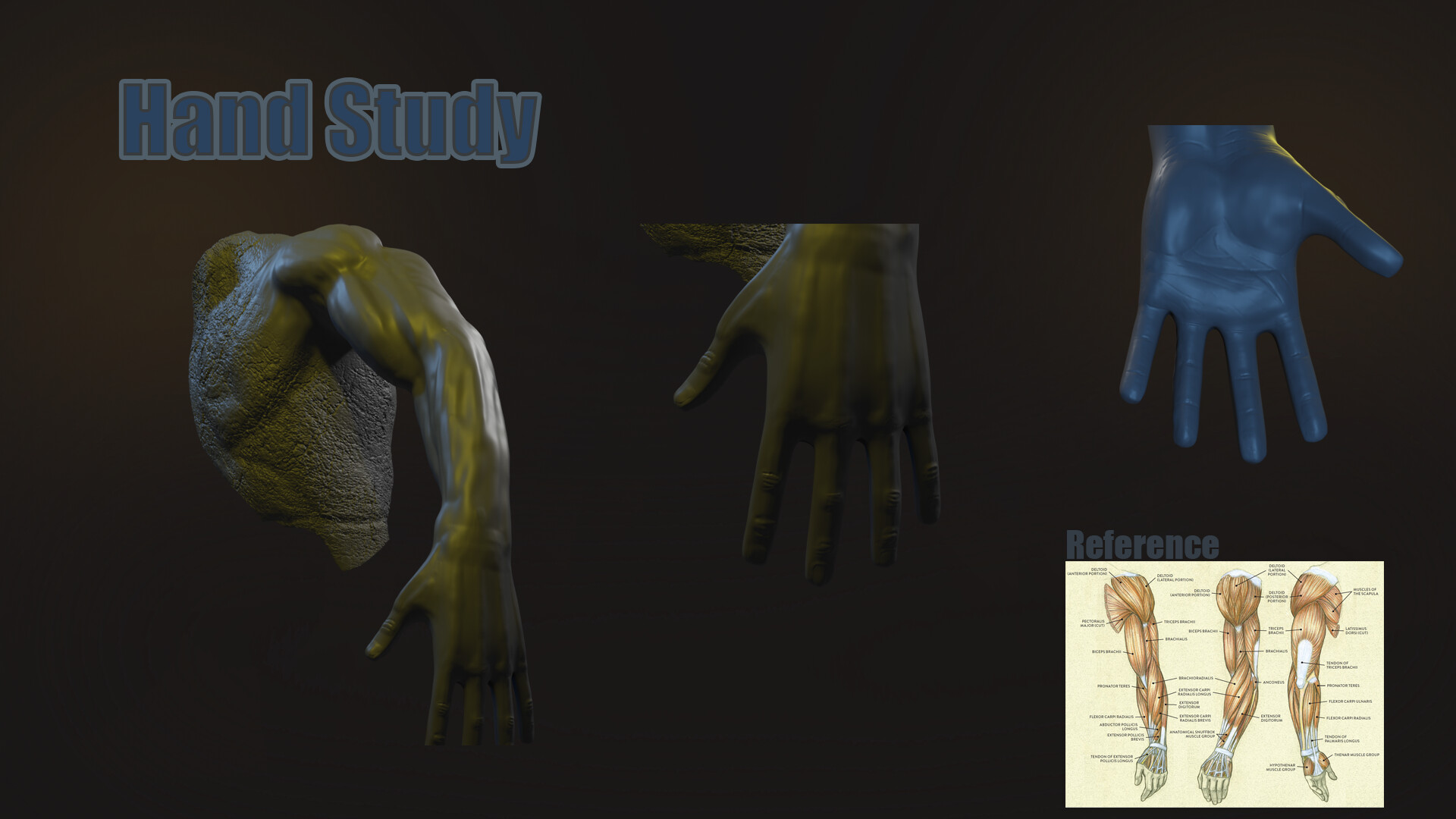 ArtStation - Hand Study Sculpt