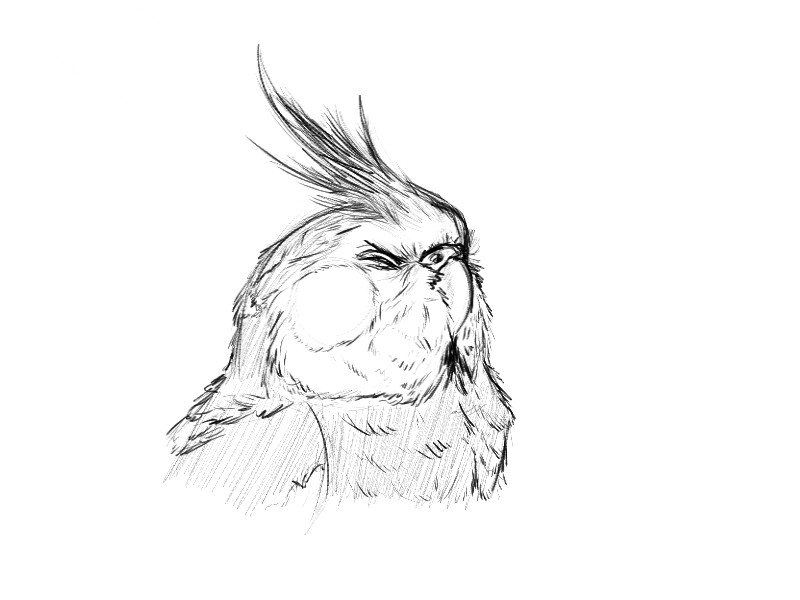 ArtStation - Rex - Direct Observation Sketch