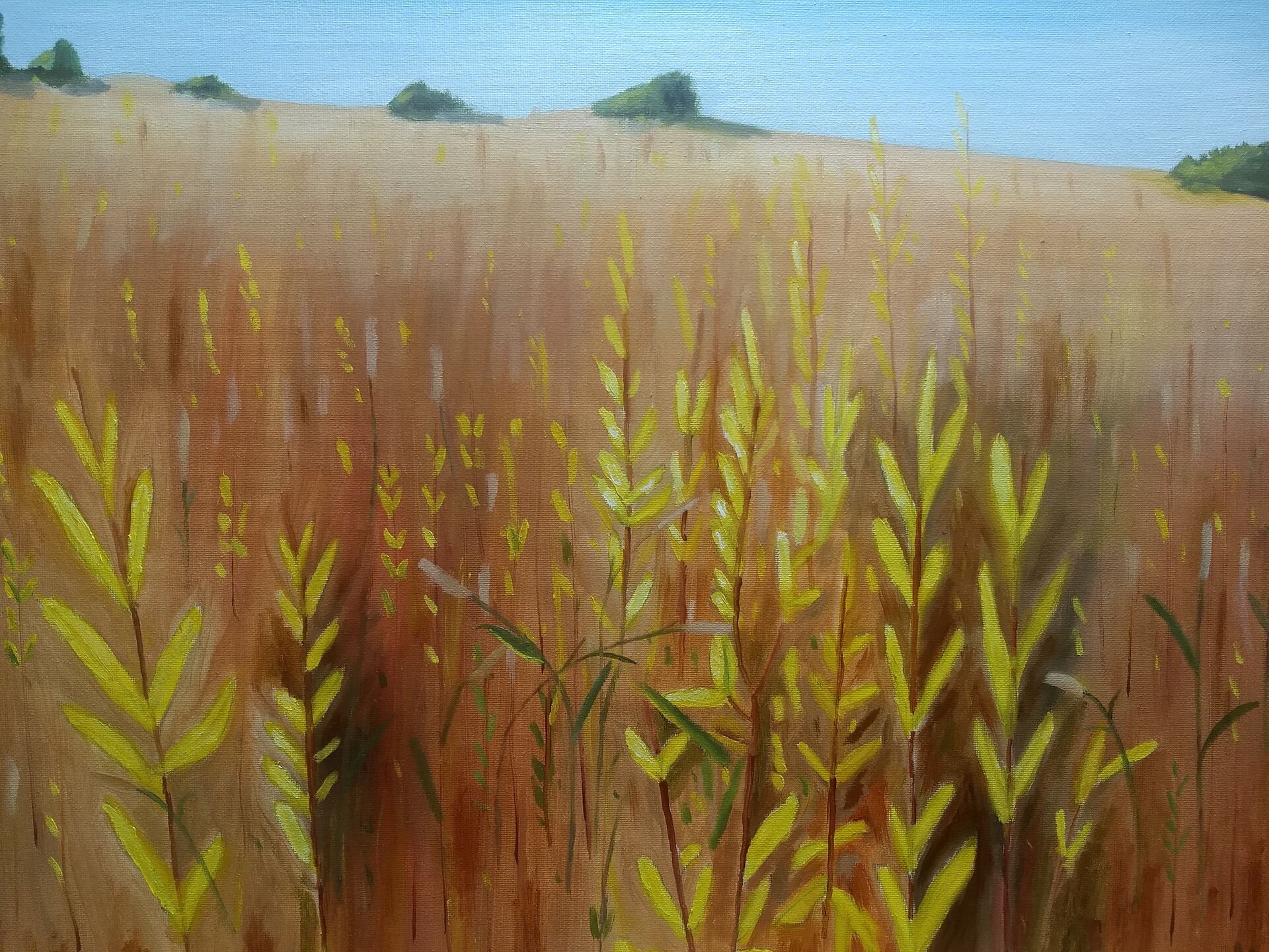 ArtStation - The Kansas Prairie