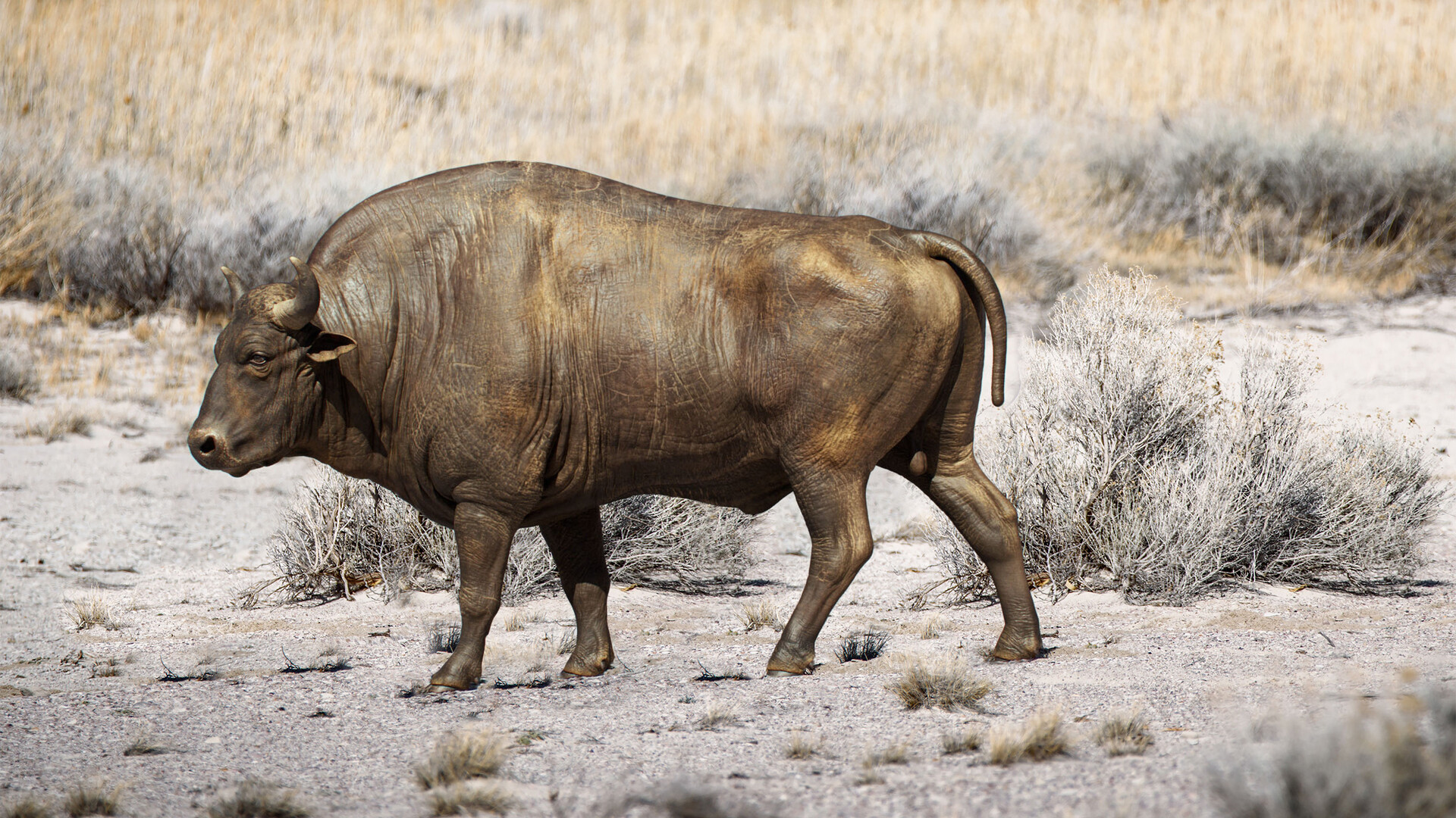 Nicolas MOREL - Bison Modeling Tutorial