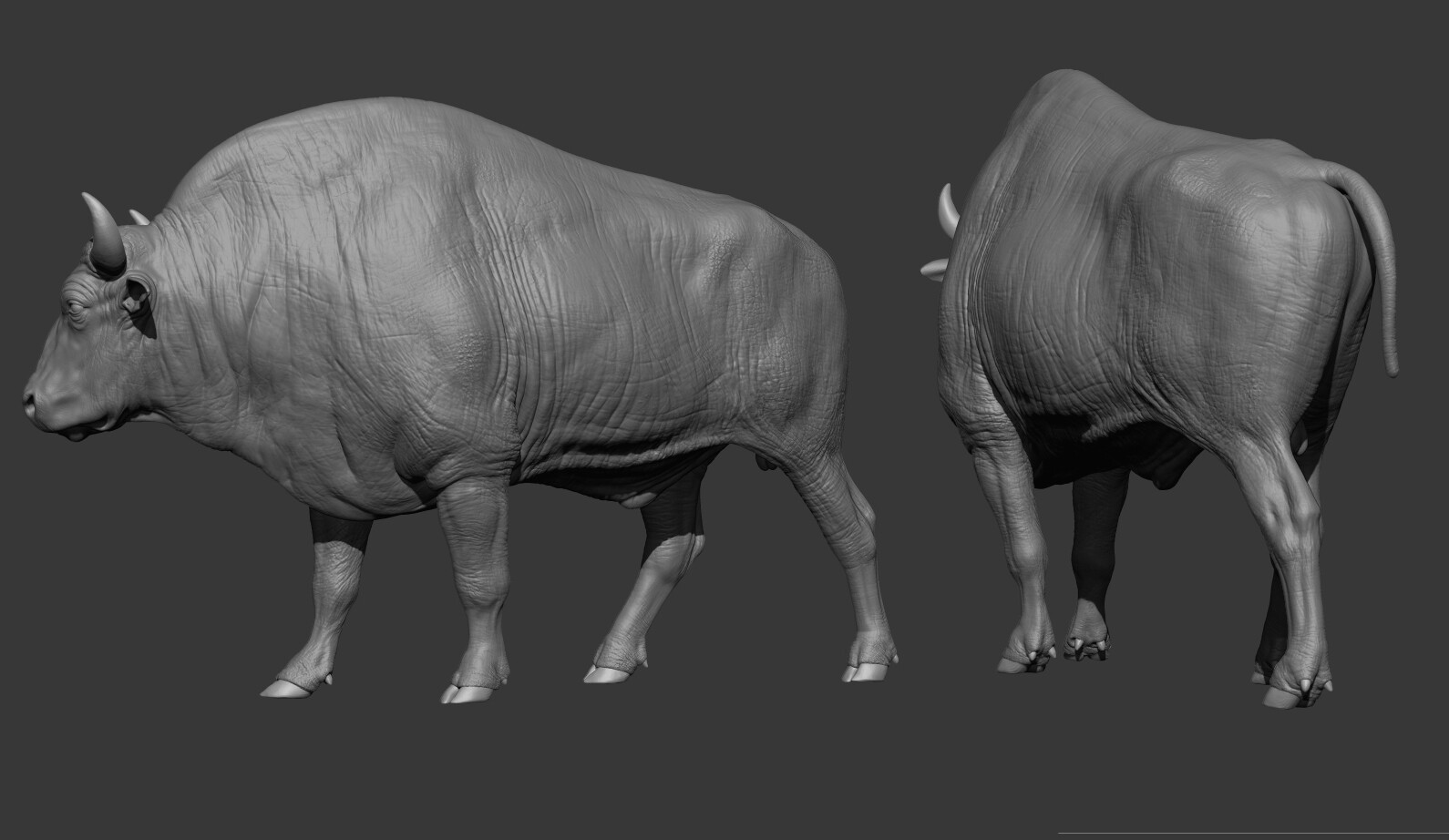 Nicolas MOREL - Bison Modeling Tutorial