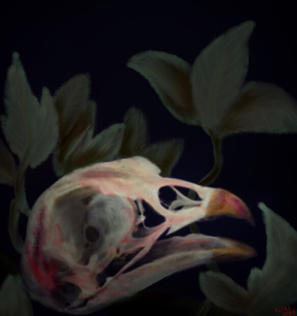 Huwa - Chicken Skull - Album Cover Project